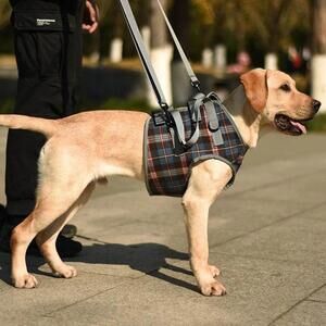 Other | Adjustable Dog Support Harness For Front And Rear Legs Lifting ...